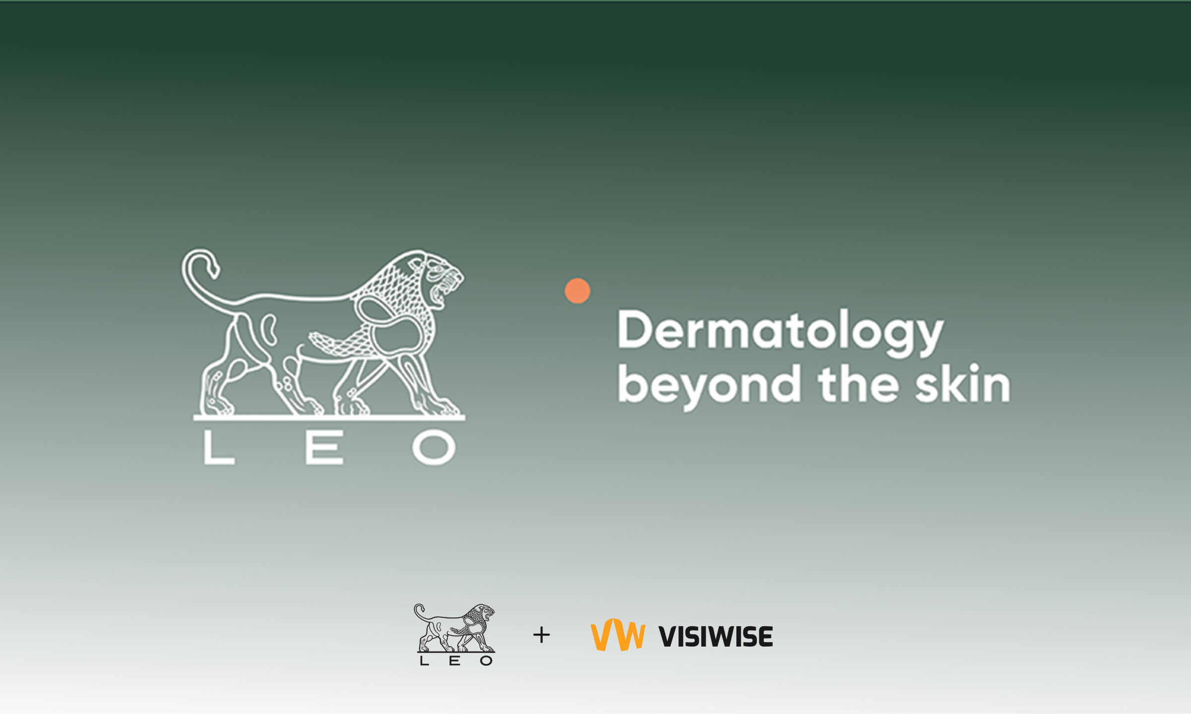 How Leo-pharma uses Visiwise as their One-Stop Solution in Supply Chain - Visiwise Blog